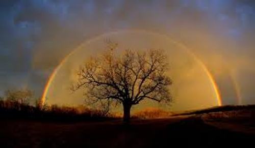 10 Interesting Rainbow Facts My Interesting Facts
