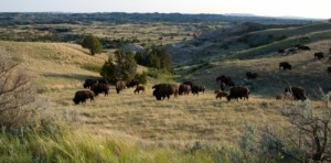 10 Interesting North Dakota Facts | My Interesting Facts