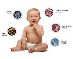 10 Interesting Human Body Facts | My Interesting Facts