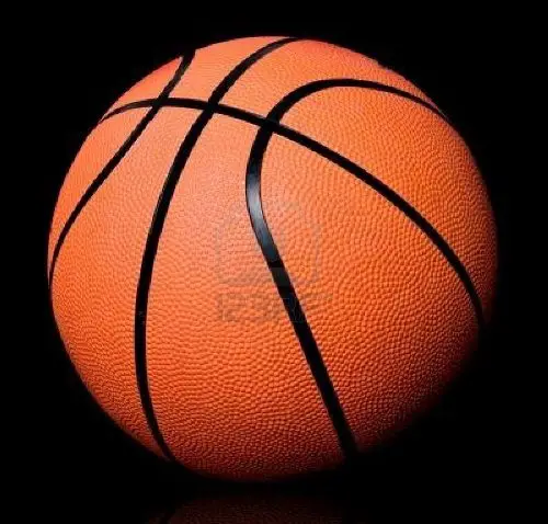 10 Interesting Basketball Facts | My Interesting Facts 10 Interesting Basketball Facts | My Interesting Facts
