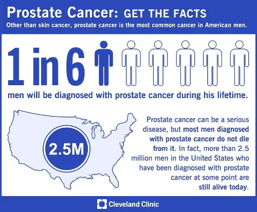 10 Interesting Prostate Cancer Facts | My Interesting Facts 10 Interesting Prostate Cancer Facts | My Interesting Facts