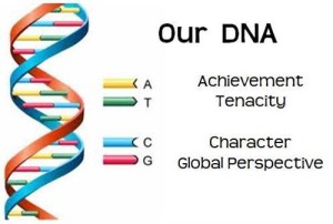 10 Interesting DNA Facts | My Interesting Facts