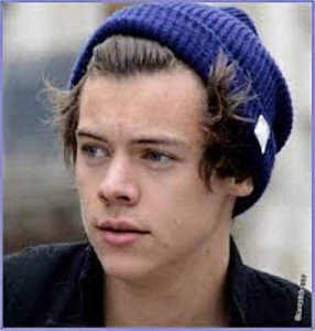 10 Interesting Harry Styles Facts | My Interesting Facts