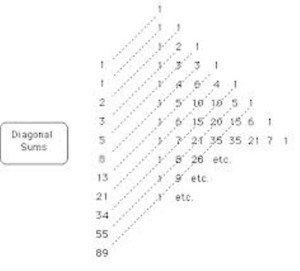 10 Interesting Leonardo Fibonacci Facts | My Interesting Facts