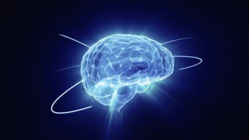 10 Interesting Memory Facts | My Interesting Facts 10 Interesting Memory Facts | My Interesting Facts