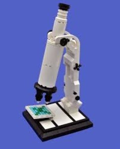 10 Interesting Microscope Facts | My Interesting Facts