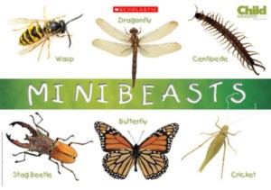 10 Interesting Minibeast Facts | My Interesting Facts