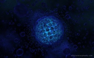 10 Interesting Protist Facts | My Interesting Facts