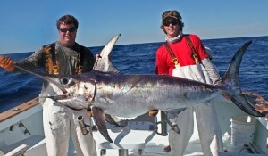 10 Interesting Swordfish Facts | My Interesting Facts