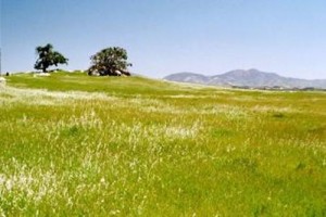 10 Interesting Temperate Grasslands Facts | My Interesting Facts