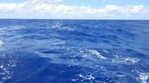 10 Interesting the Atlantic Ocean Facts | My Interesting Facts