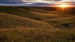 10 Interesting the Great Plains Facts | My Interesting Facts