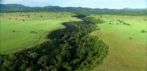 10 Interesting the Great Rift Valley Facts | My Interesting Facts