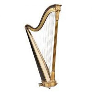 10 Interesting the Harp Facts | My Interesting Facts