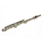 10 Interesting the Piccolo Facts | My Interesting Facts