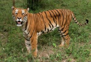 10 Interesting Zoology Facts | My Interesting Facts